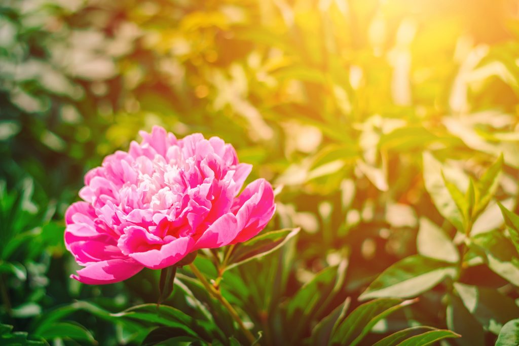 Home - Gallatin County Tourism • Gallatin County, Kentucky