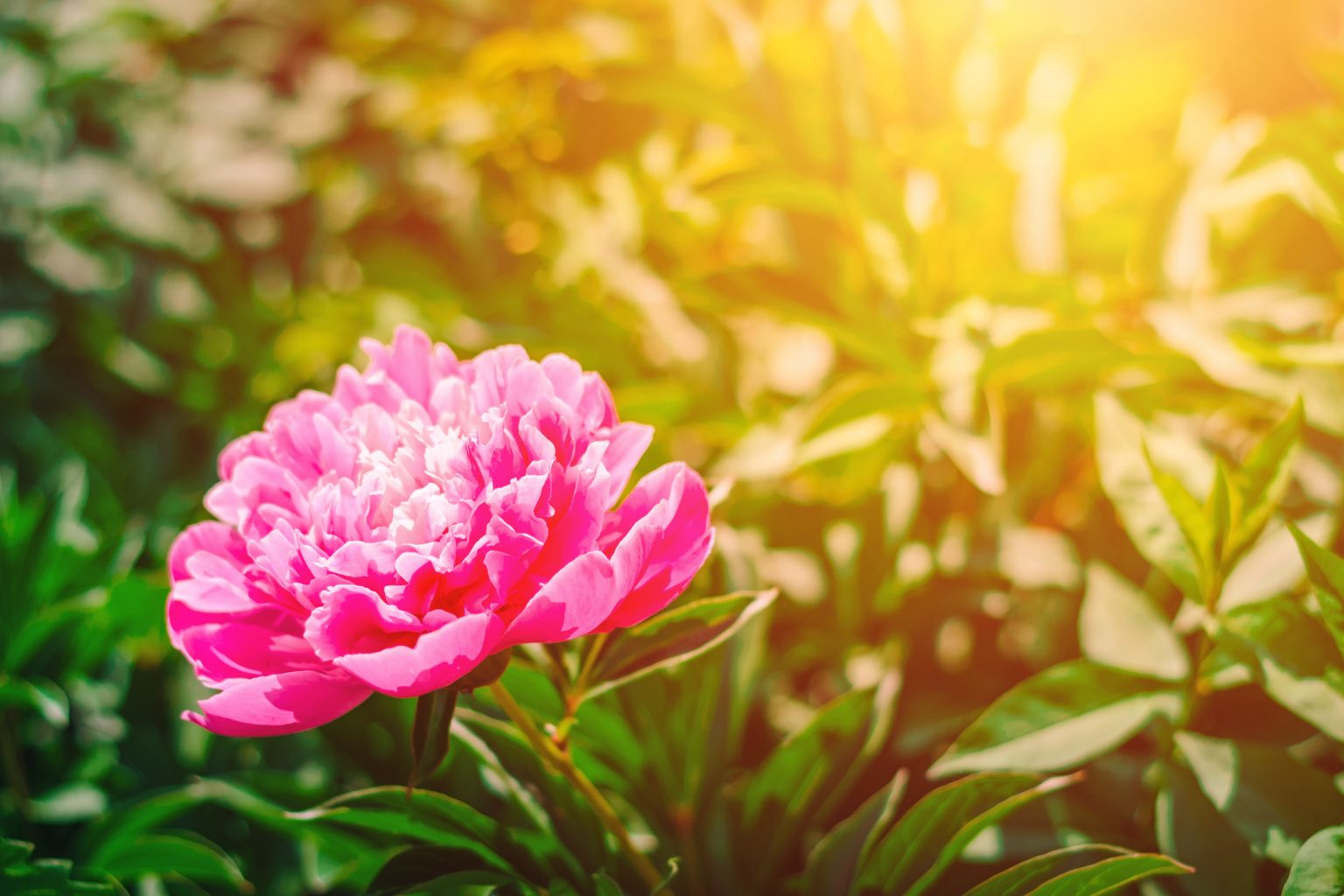 Home - Gallatin County Tourism • Gallatin County, Kentucky